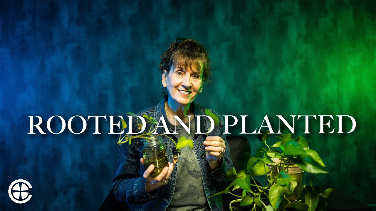Rooted AND Planted - YouTube