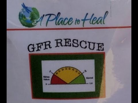 GFR Rescue for Kidneys - YouTube