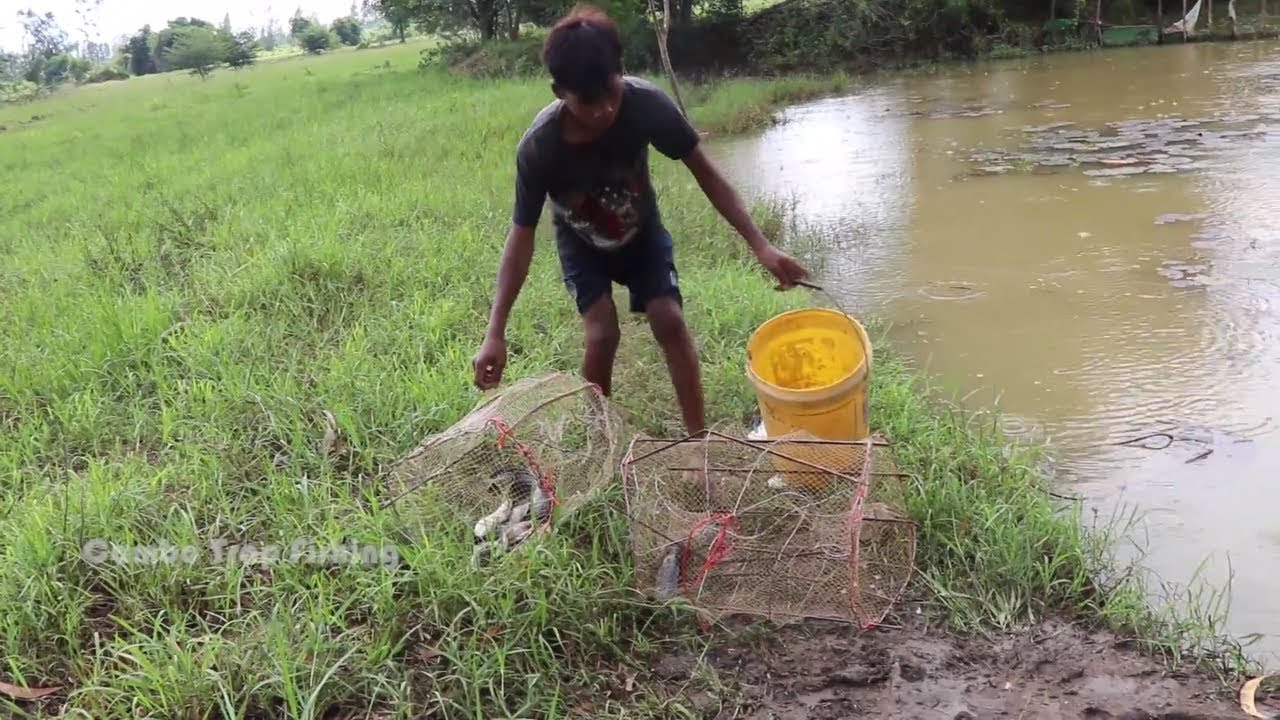 AMAZING!!! DIY Children Using Net Lure Fishing Trap Catch A Lot Fish ...