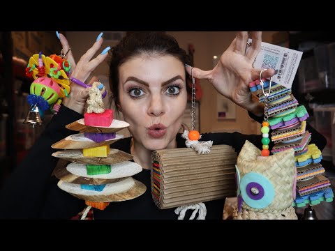 I Built a HUGE BIRD TOY STORE In My House! Tour My New Parrot Toy Shop!