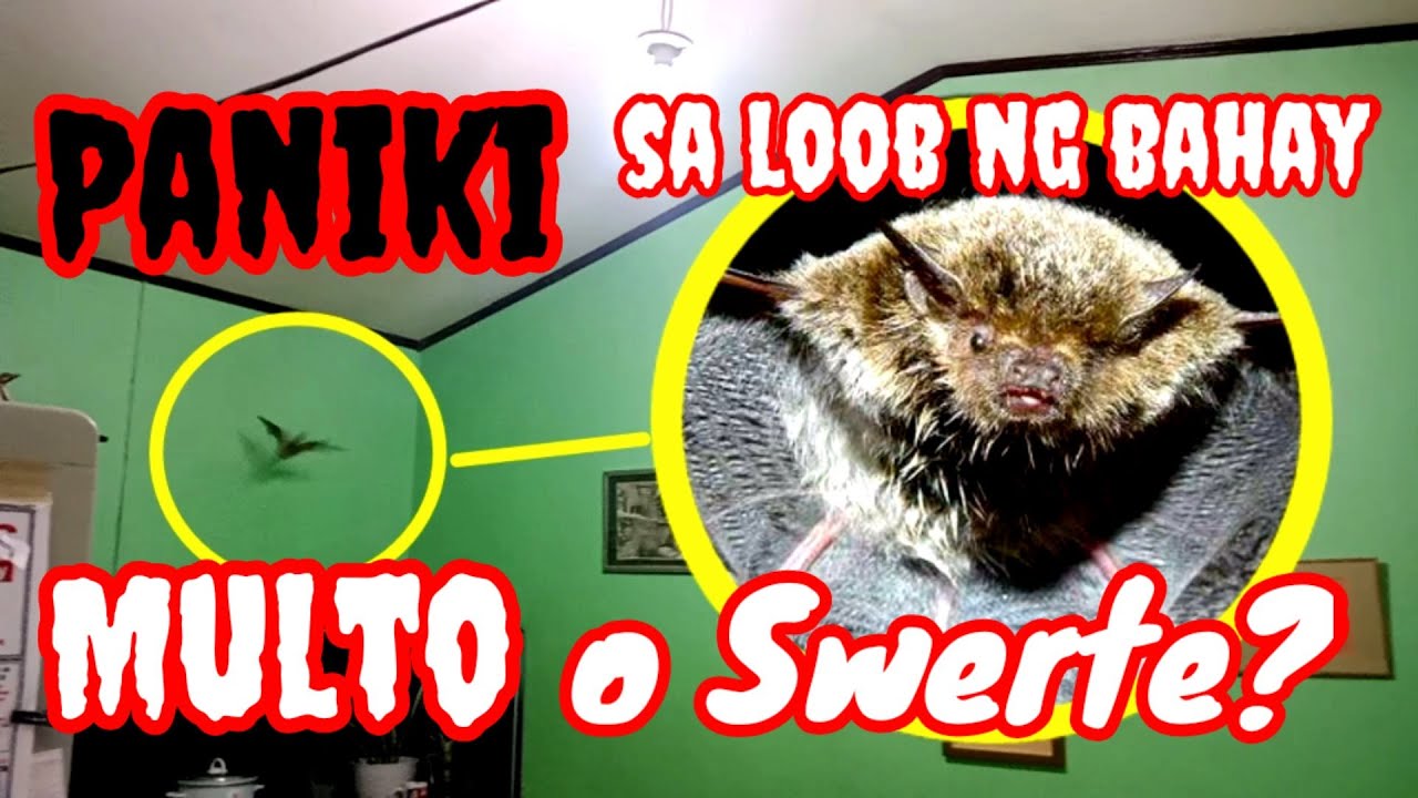 Paniki sa loob ng bahay | Multo o Swerte | SpritTV - YouTube