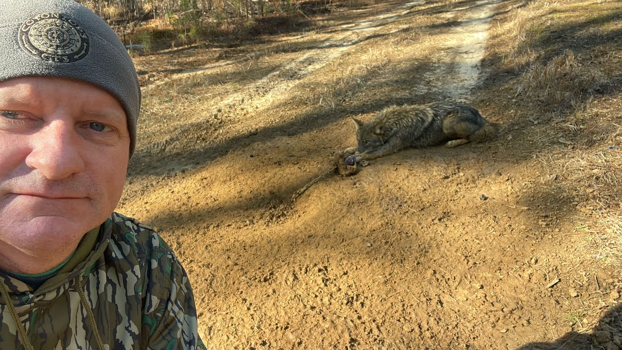 The trap line and where do I get my traps? - YouTube