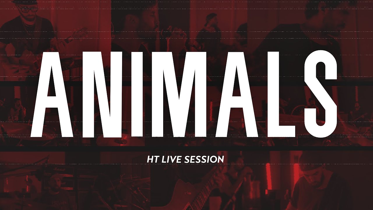 HT Live Session #2 - ANIMALS (Architects) - YouTube