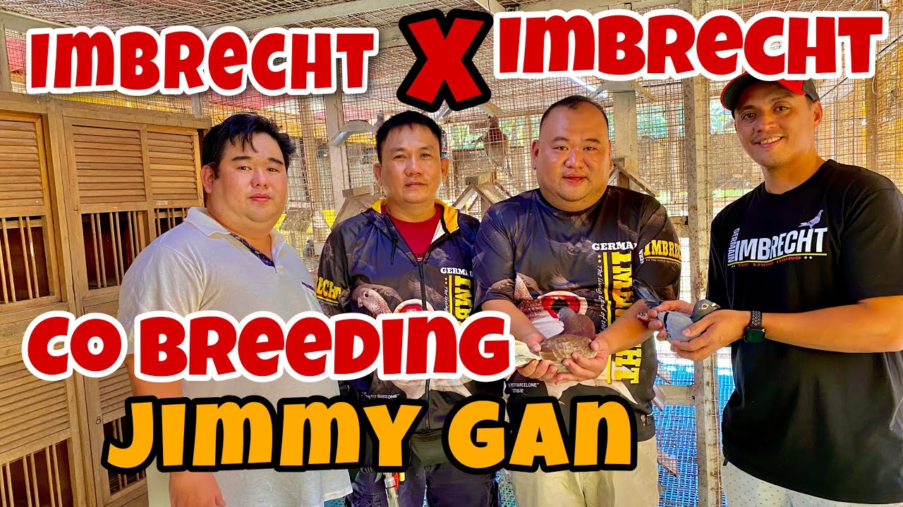 NAKILALA KO MGA ANAK NI BOSS JIMMY GAN, NAG CO-BREEDING KAMI |Reggie ...