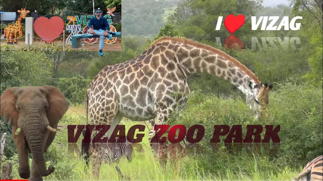 zoo park vizag 📍 Vishakapatnam (Indira Gandhi zoological park) - YouTube