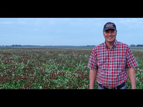 Rick Clark - Regenerative Farmer Spotlight - YouTube