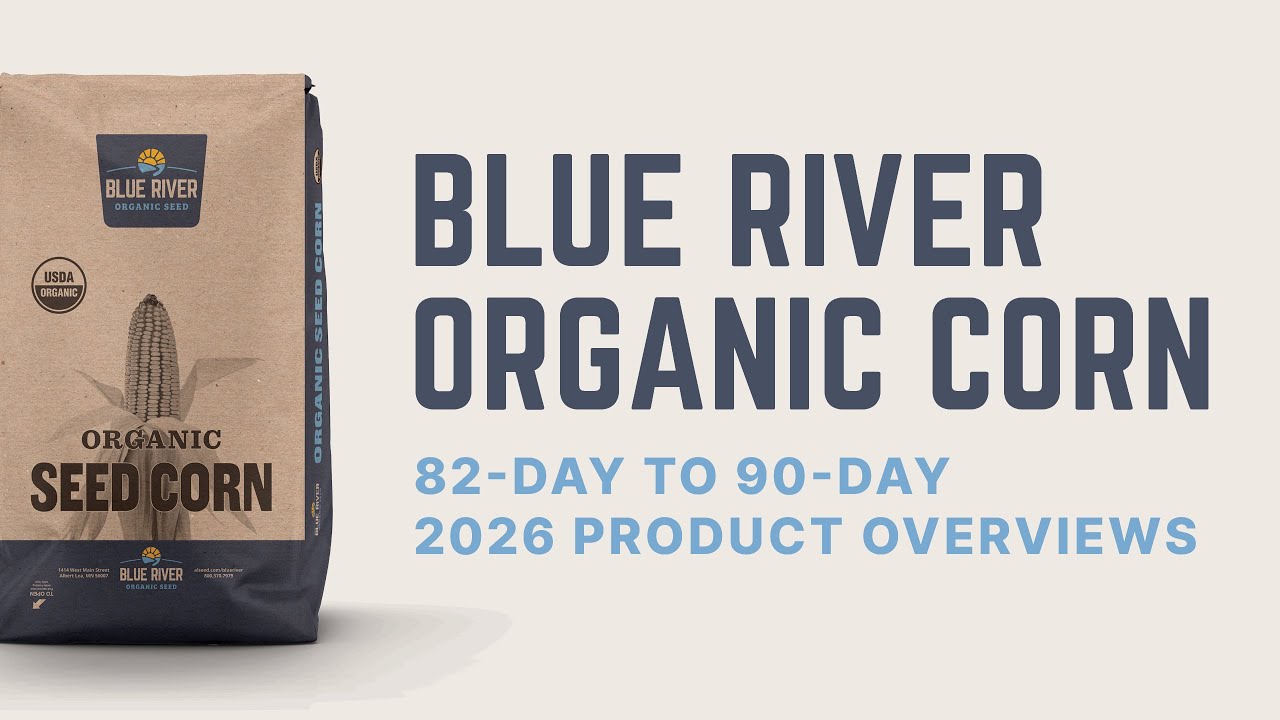2026 Product Overviews | Blue River Organic Corn (82-Day to 90-Day ...