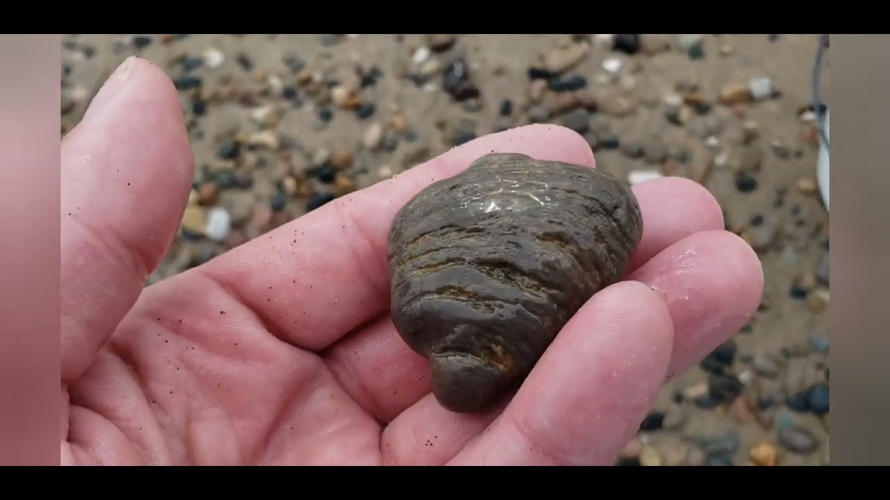 Collecting Rocks On A Lake Michigan Beach #thefinders #lakemichigan ...