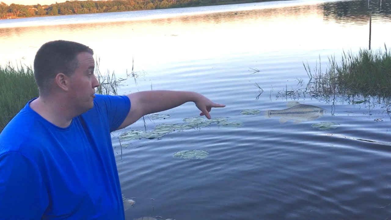 Collecting Wild Fish For Aquarium - Florida Native Fish with Aquarium ...