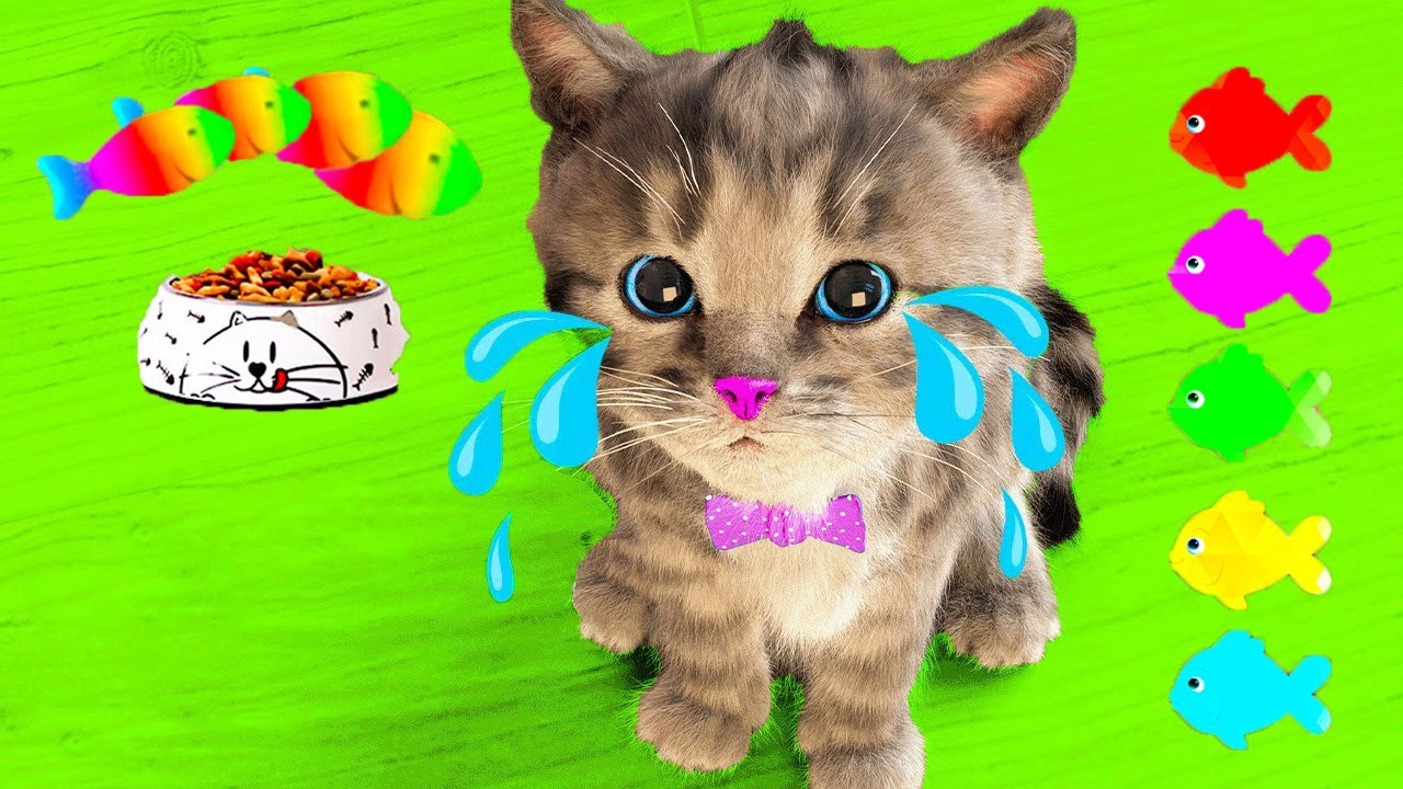 MEOW LITTLE KITTEN ADVENTURE LONG SPECIAL - KITTEN CARE AND EDUCATIONAL ...