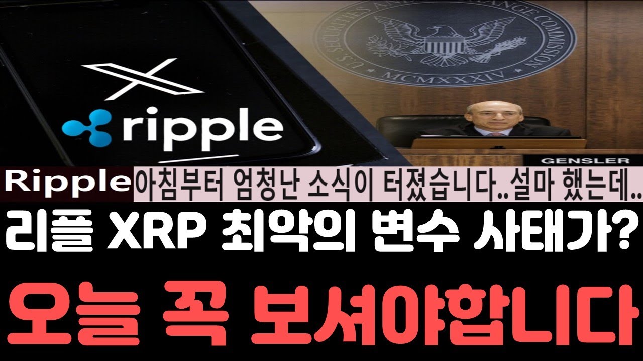 리플전망 리플 Xrp 최악의 변수 사태가 찾아왔다하필 그것도 지금같은 시장에서 오늘 영상은 꼭 보셔야합니다 리플전망