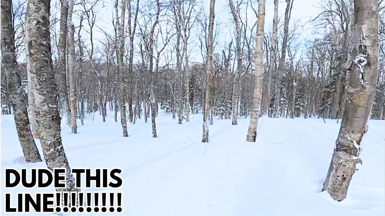 Snowboarding Powder in the Trees - YouTube