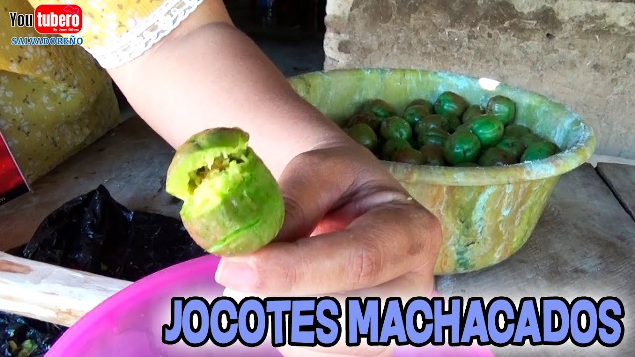 Jocotes Salvadorenos