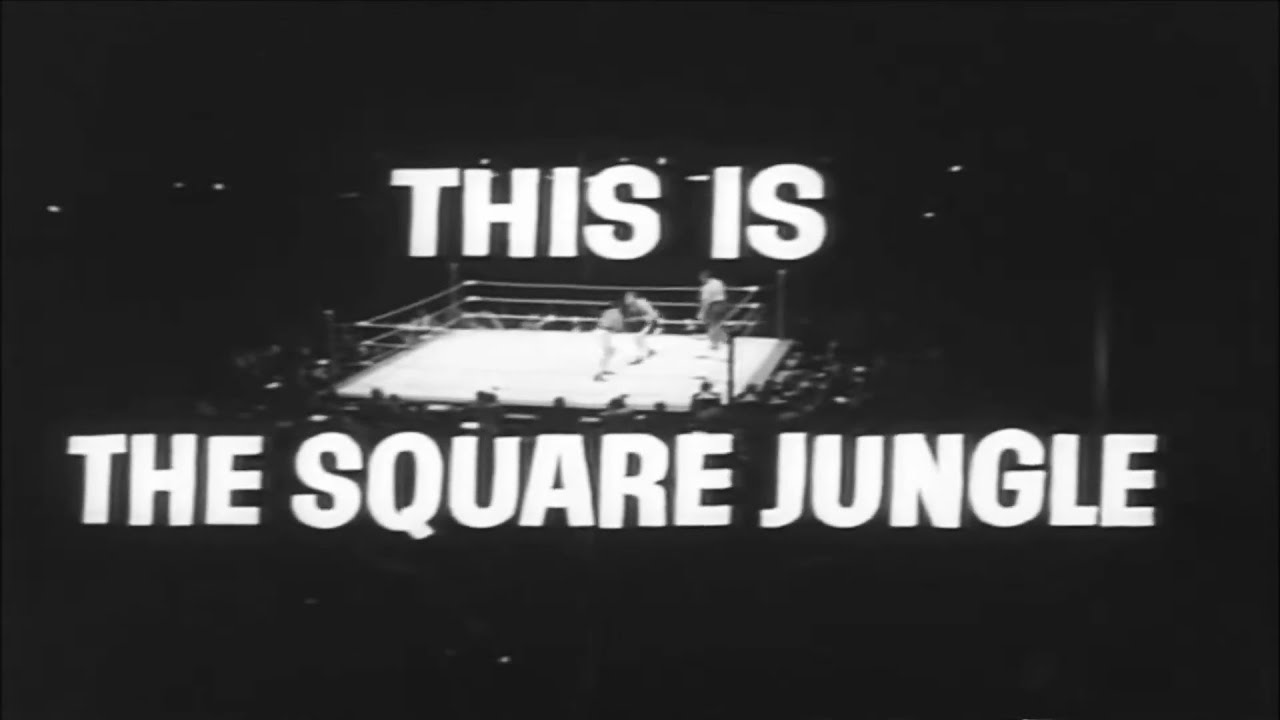 The Square Jungle Trailer 1955 - A Film Noir starring Tony Curtis - YouTube