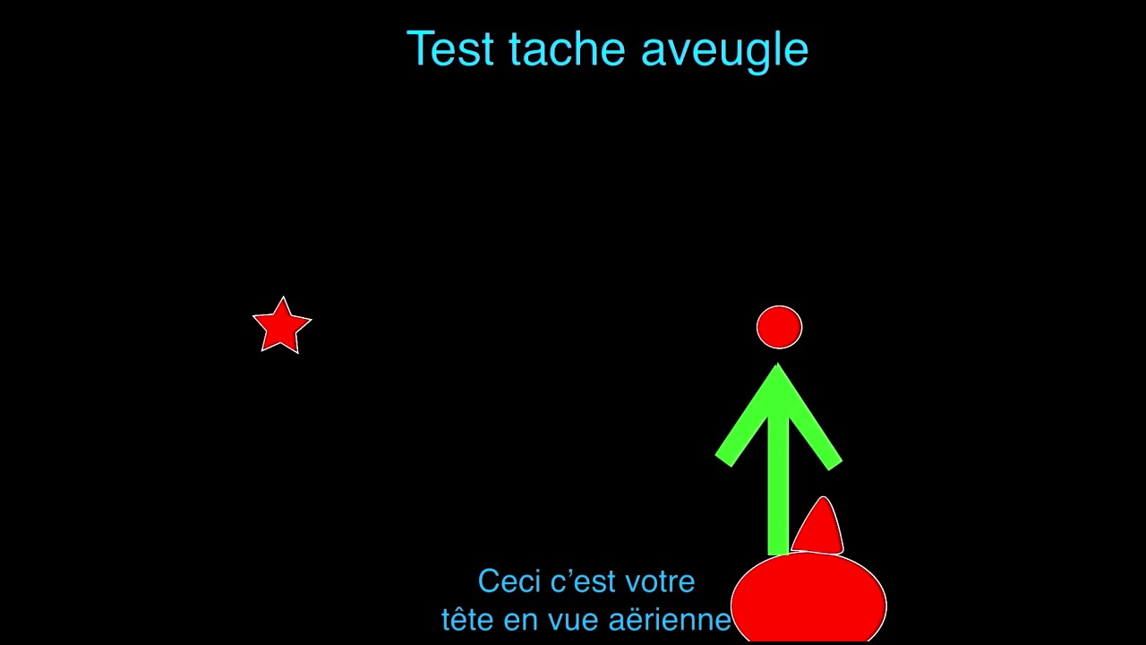 Phénomène de la tache aveugle ou point aveugle ou tache de mariotte ...