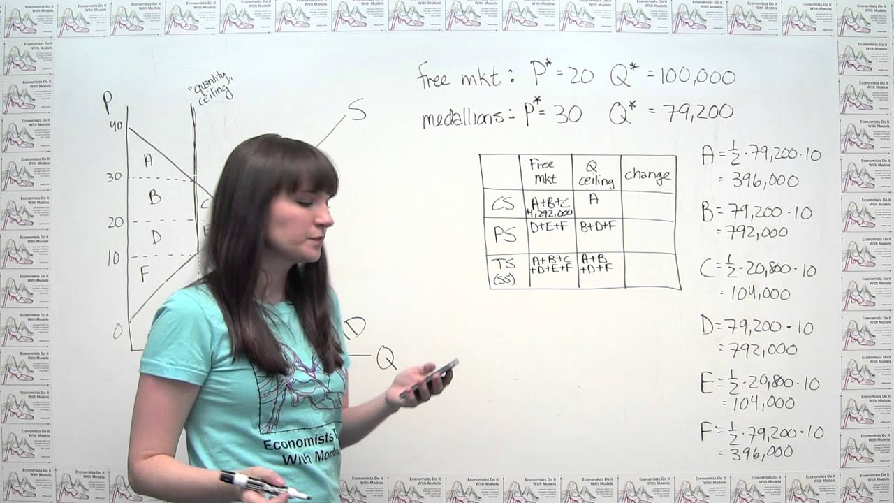 Microeconomics Practice Problem - The Market Impact of a Quantity ...