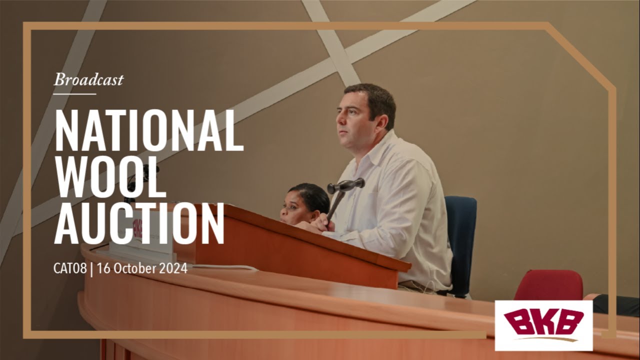 BKB National Wool Auction Broadcast | 16 October 2024 - YouTube