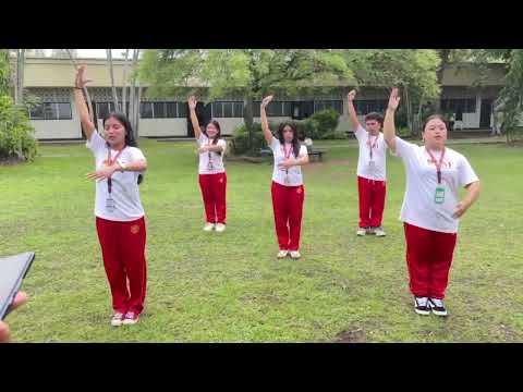Fundamental Dance Positions of the Arms and Feet in Cariñosa Philippine ...