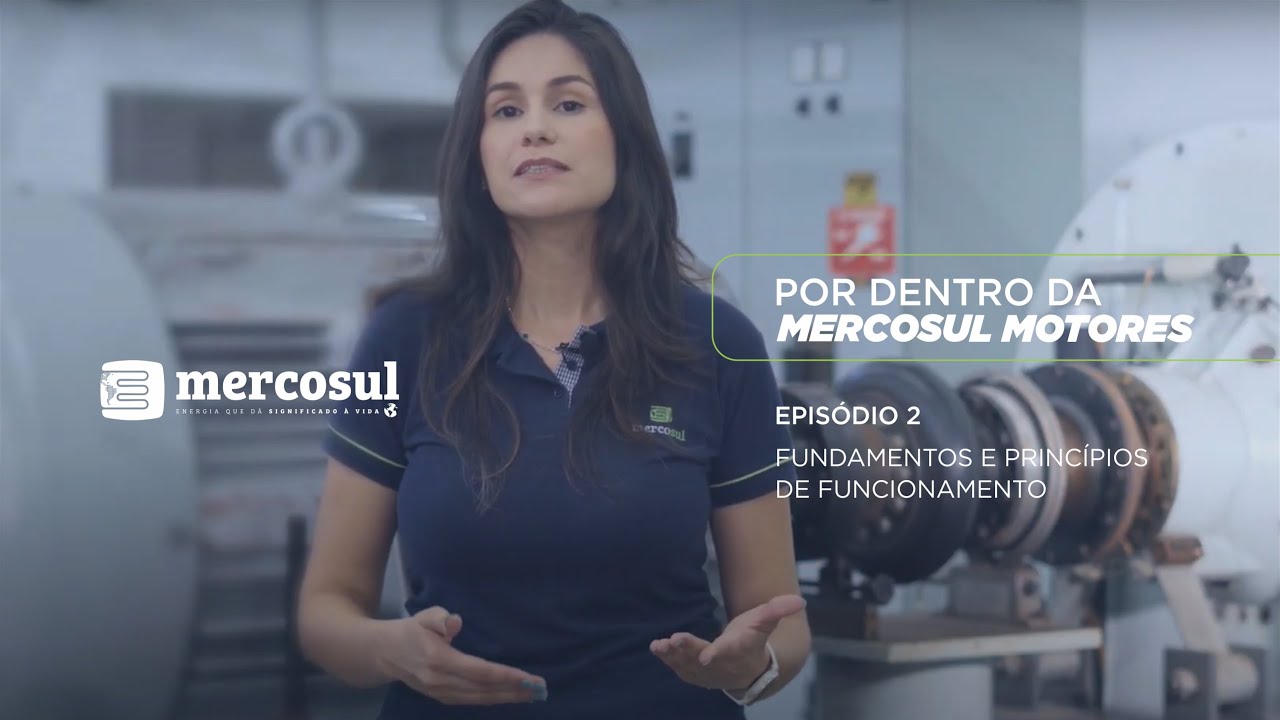Fundamentos e princípios de funcionamento - Por dentro da Mercosul ...