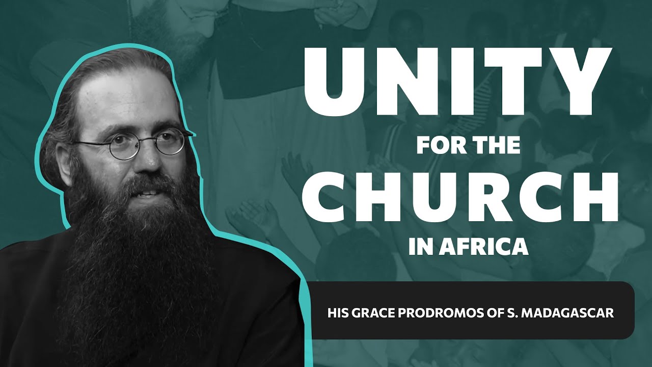 Russian Intrusion into the Patriarchate of Alexandria - His Grace ...