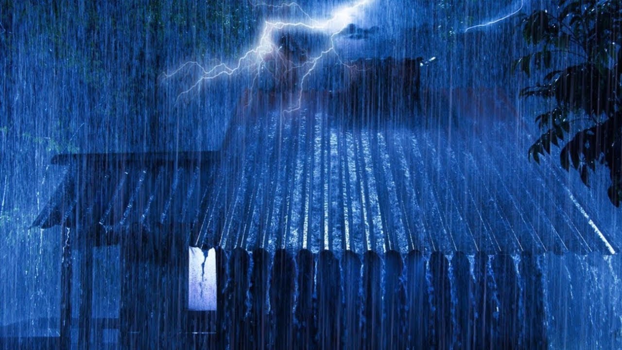Relaxing Sound of Rain and Wind in Forest 10 Hours / Rain Drops Falling ...