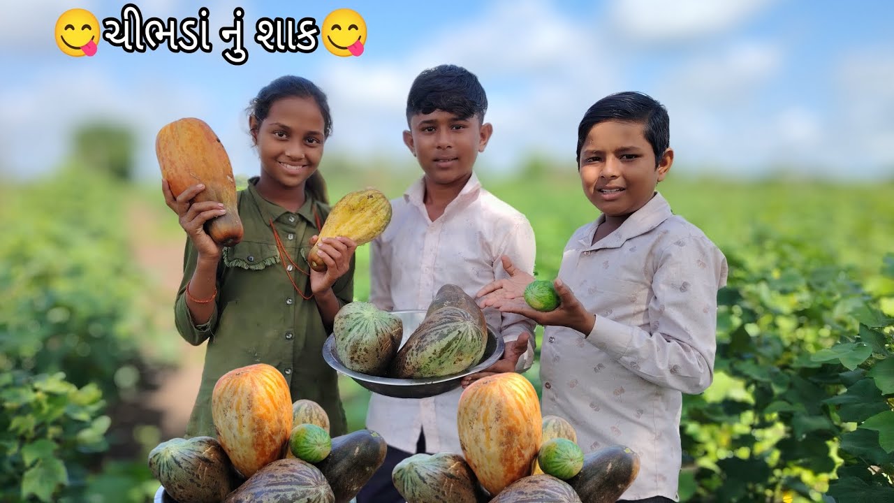 ચીભડાં નુ શાક | chibhda Nu Shak Recipe | Paka Chibhda Nu Shak | Village ...