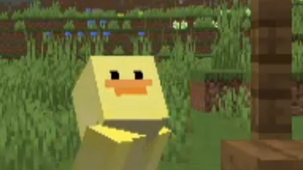 The Duck Song (Minecraft) - YouTube