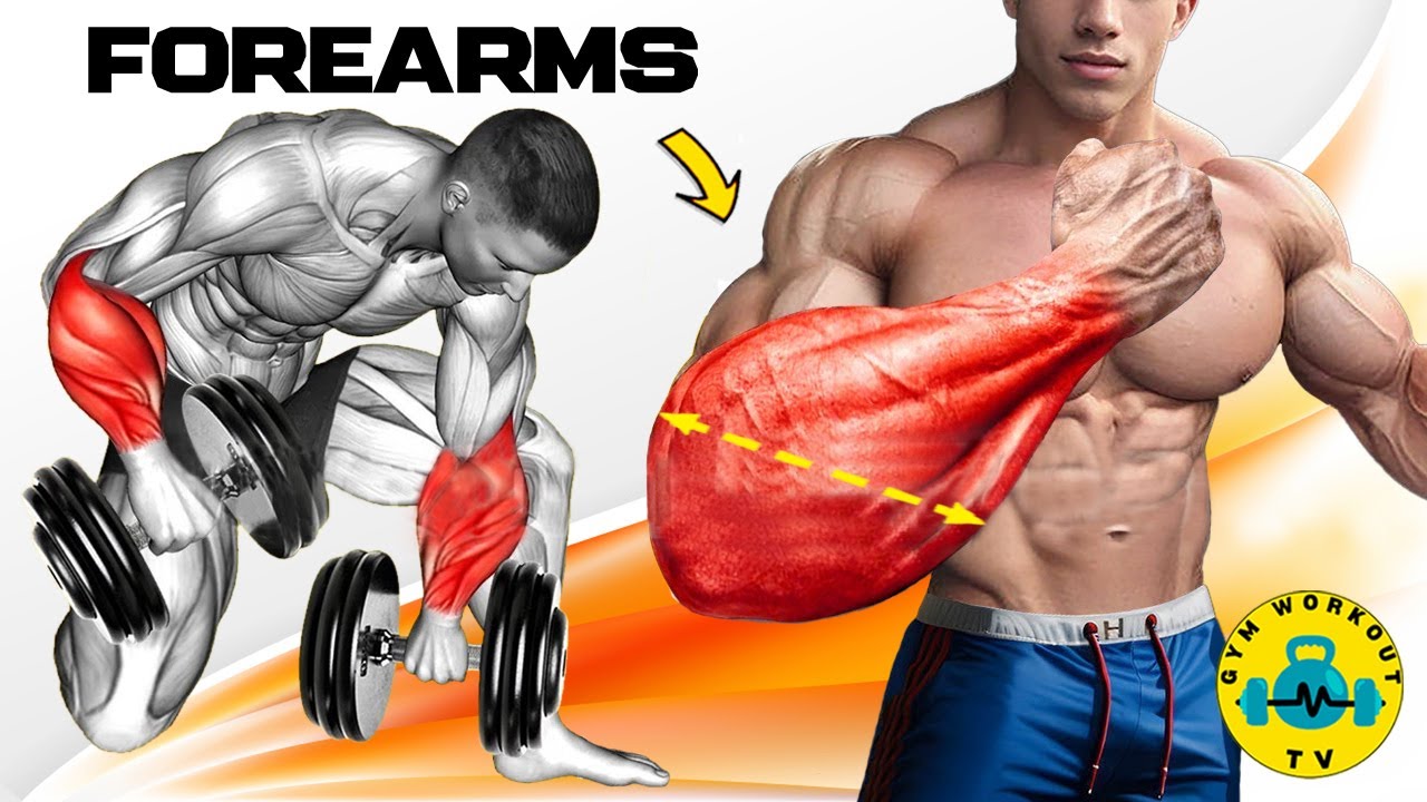 6 Best Exercises for Bigger Forearms: Achieve Maximum Growth - YouTube