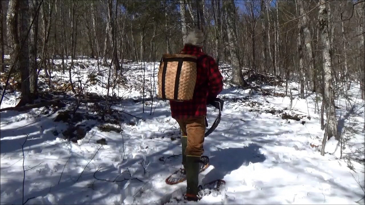 COYOTE HUNTING, FOLLOWING A BLOOD TRAIL - YouTube