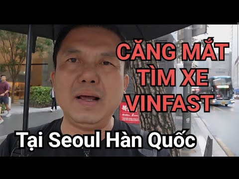 Phil Dong đứng giữa trời mưa tại Seoul Hàn Quốc để tìm xe điện Vinfast!