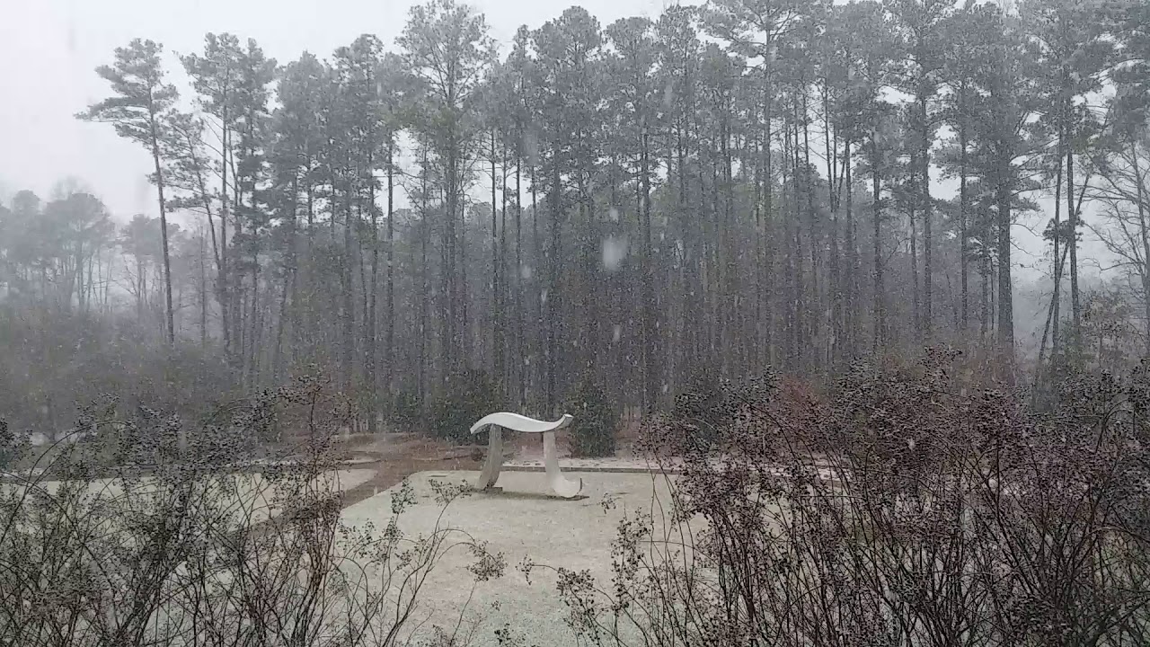 Snowpocalypse North Carolina triangle January 2018 - YouTube