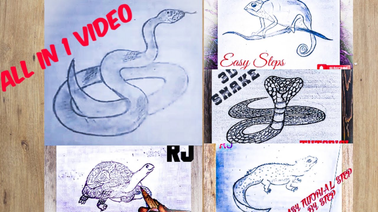 How To Draw A Reptiles Snake(Rattlesnake,King Cobra),Lizard,Turtles ...
