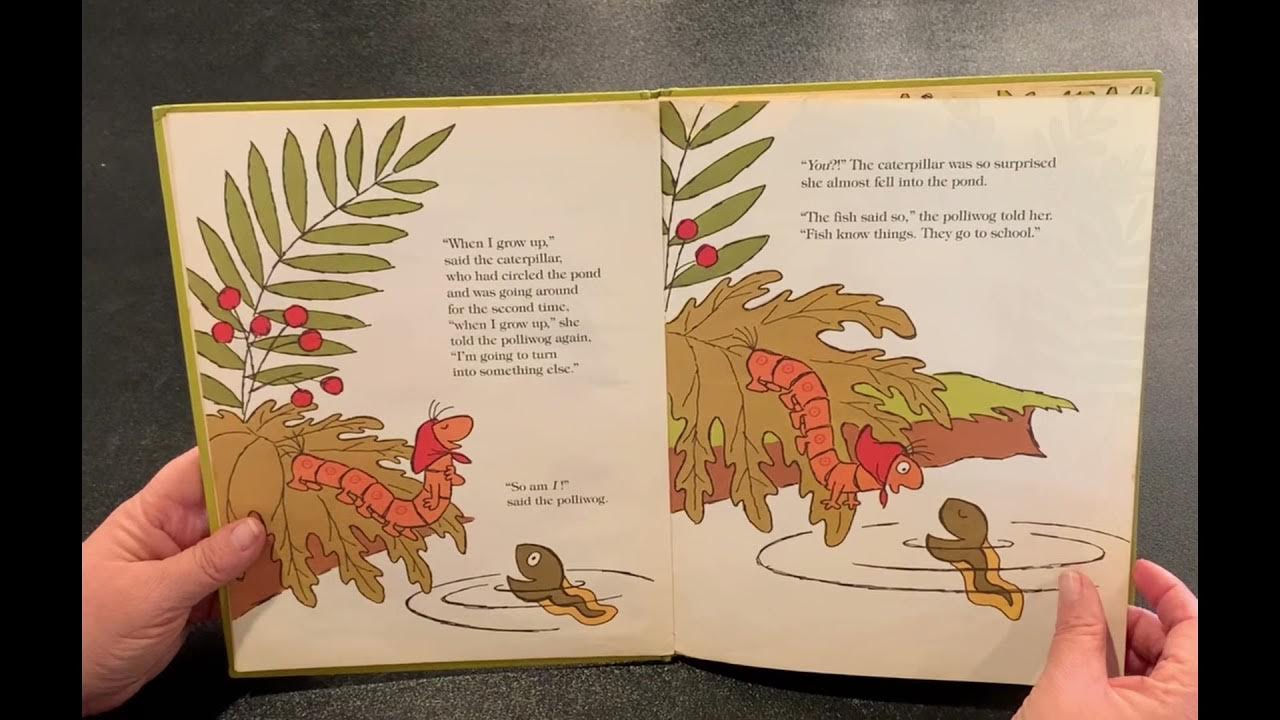 The Caterpillar and The Polliwog - YouTube