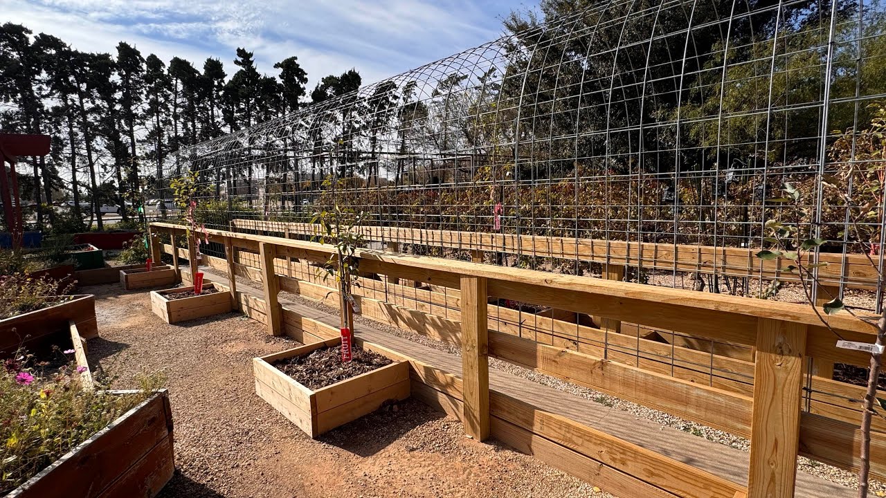 All About Fruit Tree Winter Chill Hours - YouTube