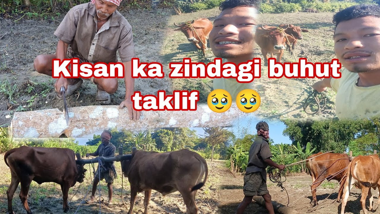 Kisan ka zindagi buhut taklif 🥹🥹🥹 || village Life vlogs Arunachal ...