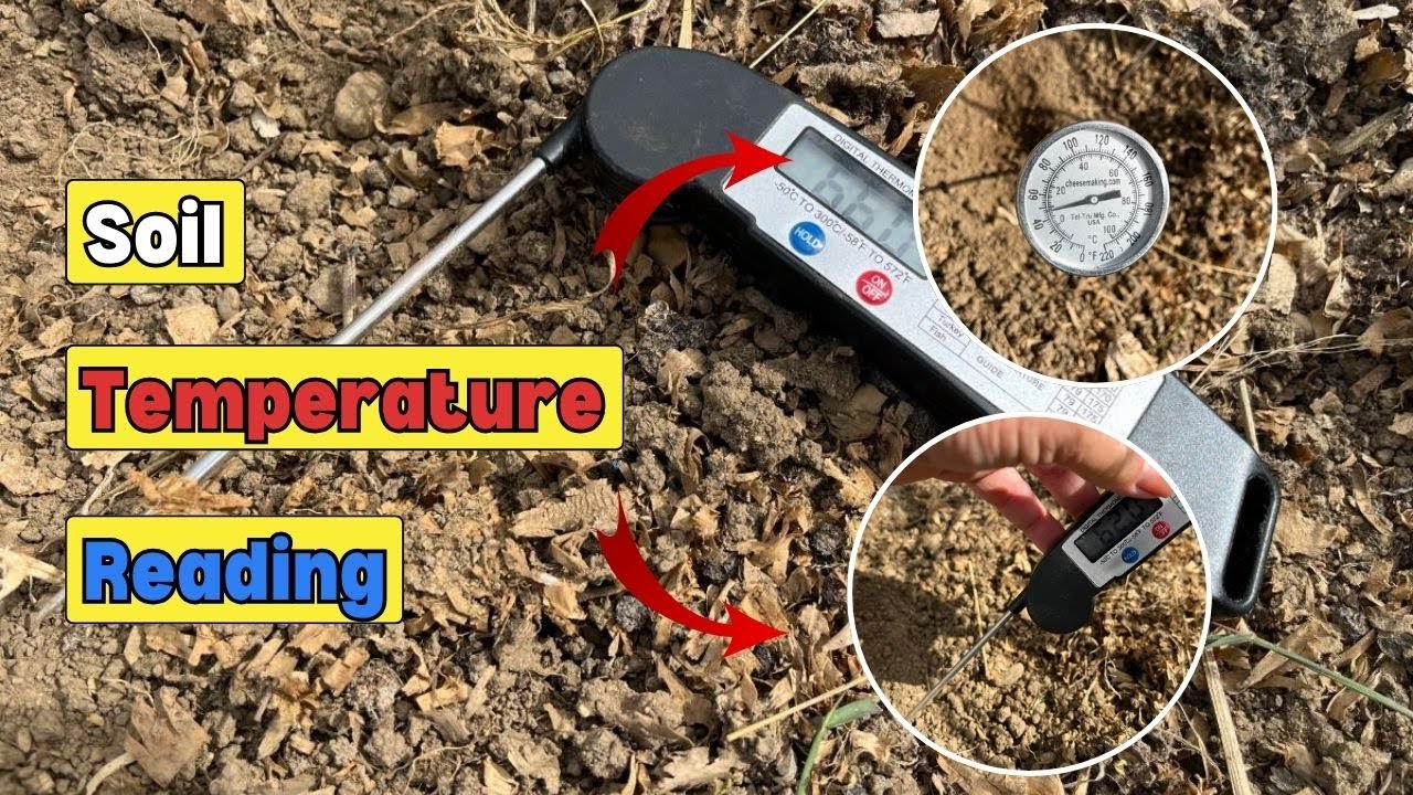 How, When, and Where to Take a Soil Temperature Reading - YouTube