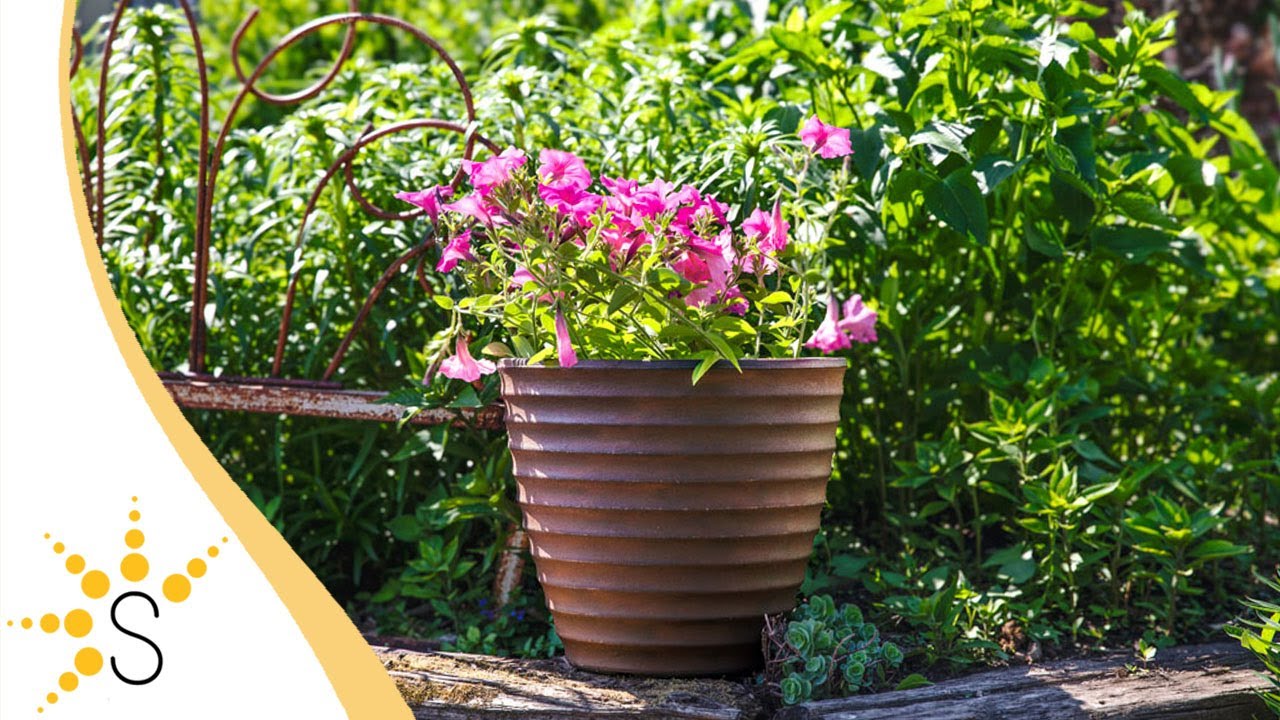 Sunnydaze Polyresin Ribbed Outdoor Plant Pot - Rust - 13"-DG-455 - YouTube