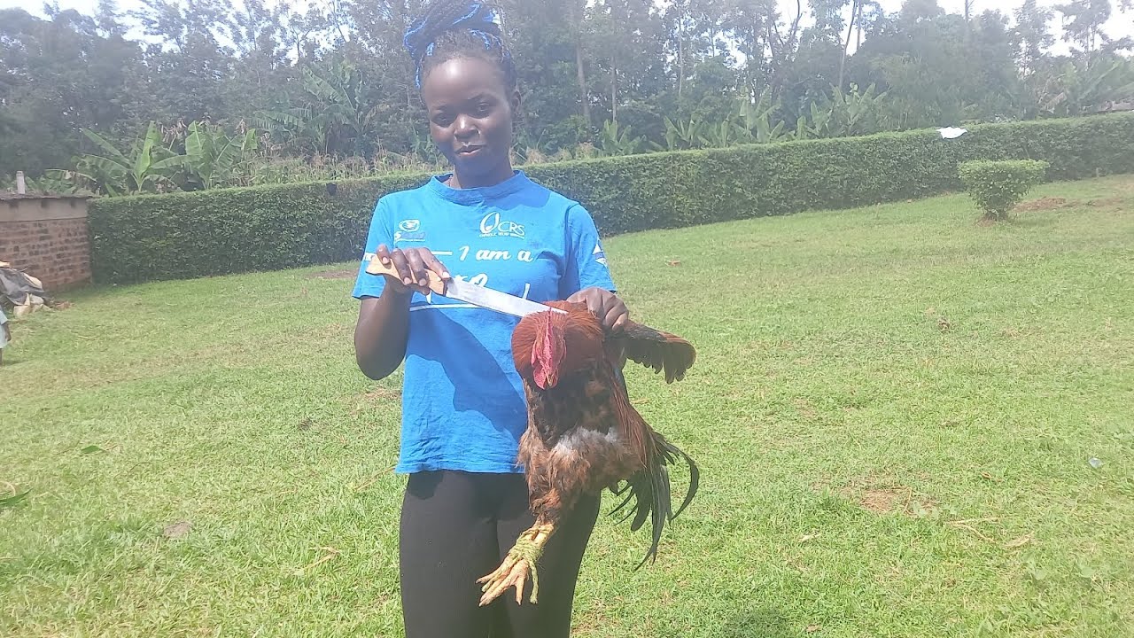 How to slaughter / butcher chicken in an African village # ...