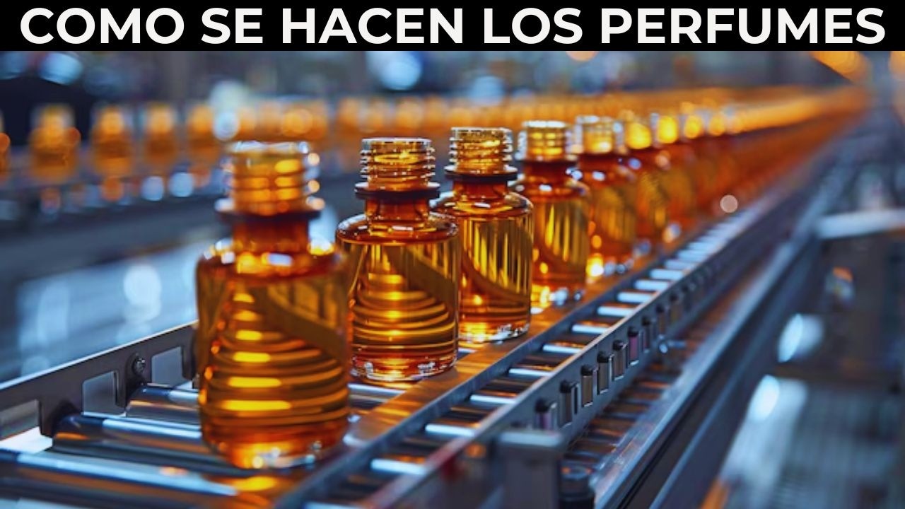 ¿Cómo se Hace un Perfume? Te Mostramos Todo el Proceso - YouTube