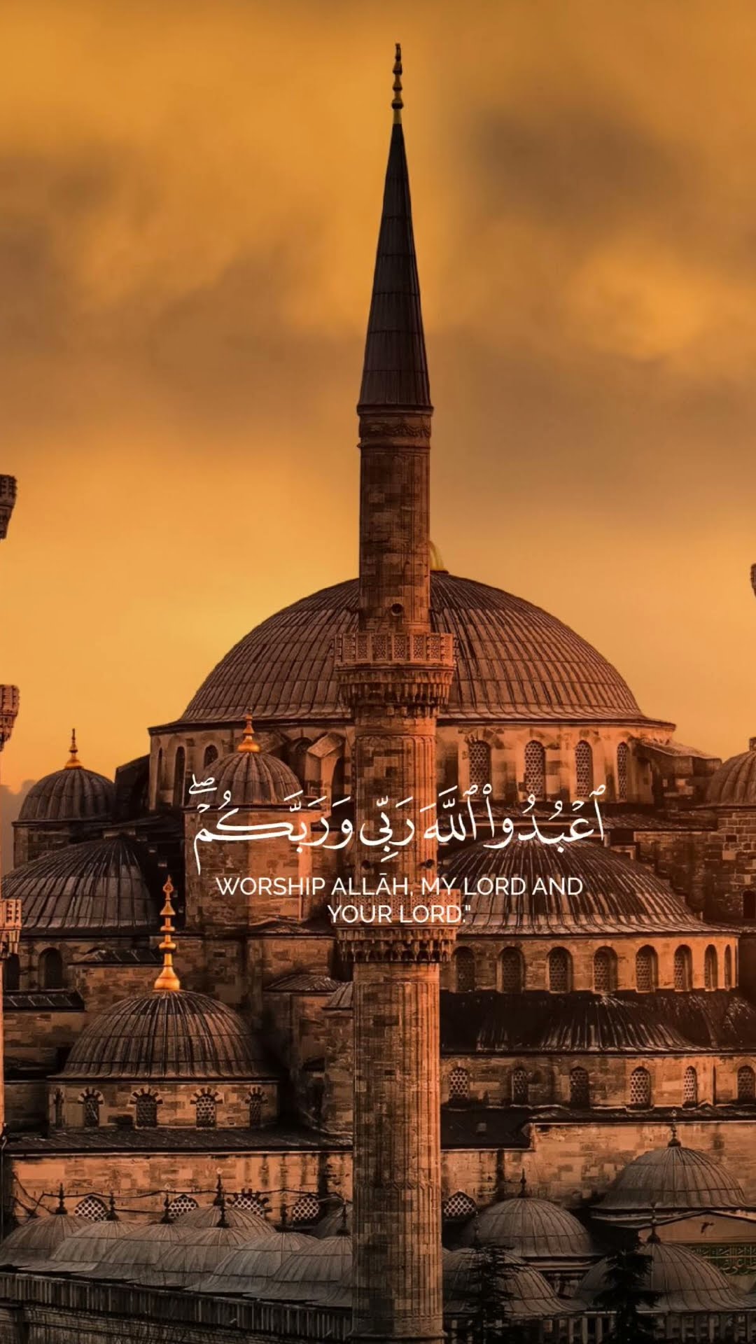 لَقَدْ كَفَرَ الَّذِينَ قَالُوا إِنَّ اللَّهَ هُوَ الْمَسِيحُ ابْنُ