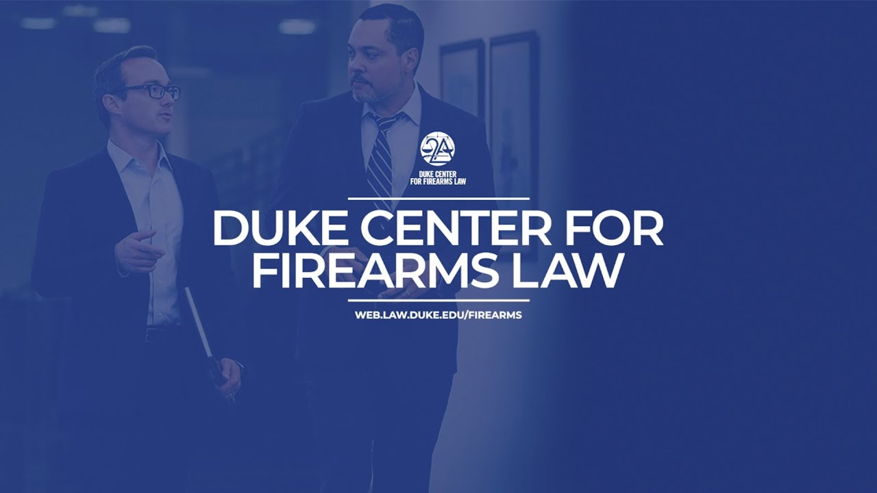 Jane K. Stoever | Scholarship Highlight, Firearms & Domestic Violence ...