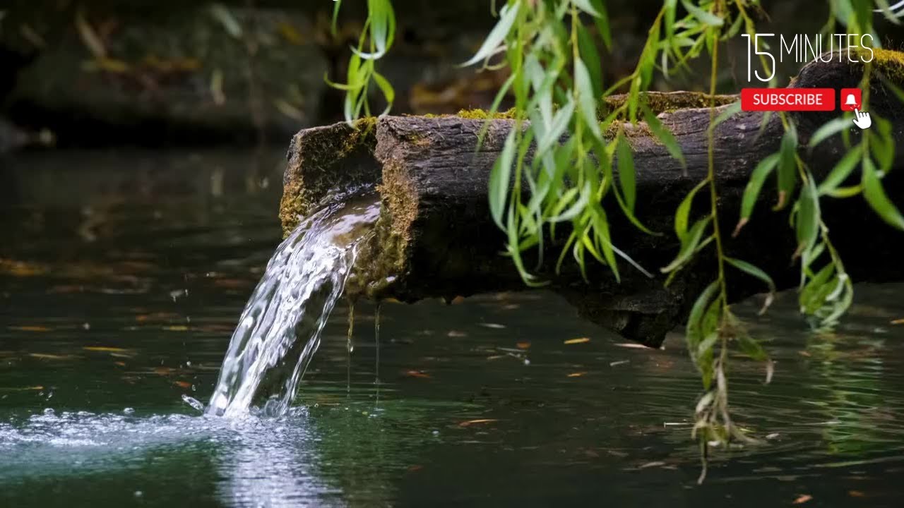 Relaxing Flowing Water Sound 💦🔊🎧 #flowingwatersound #watersounds - YouTube