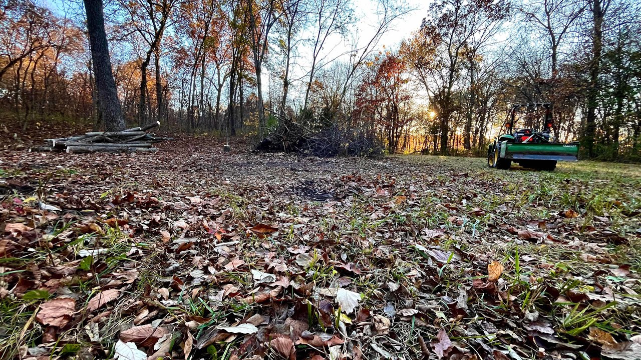 Clearing More Trees for hay feild - YouTube