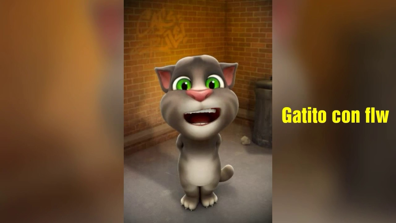 Gatito Con Flow| Piqué Se va de la Selección - YouTube