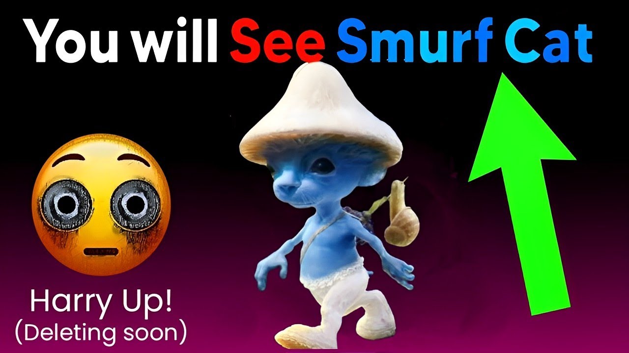 This Video will Make You See SMURF CAT in Your Room! (We live, we love ...