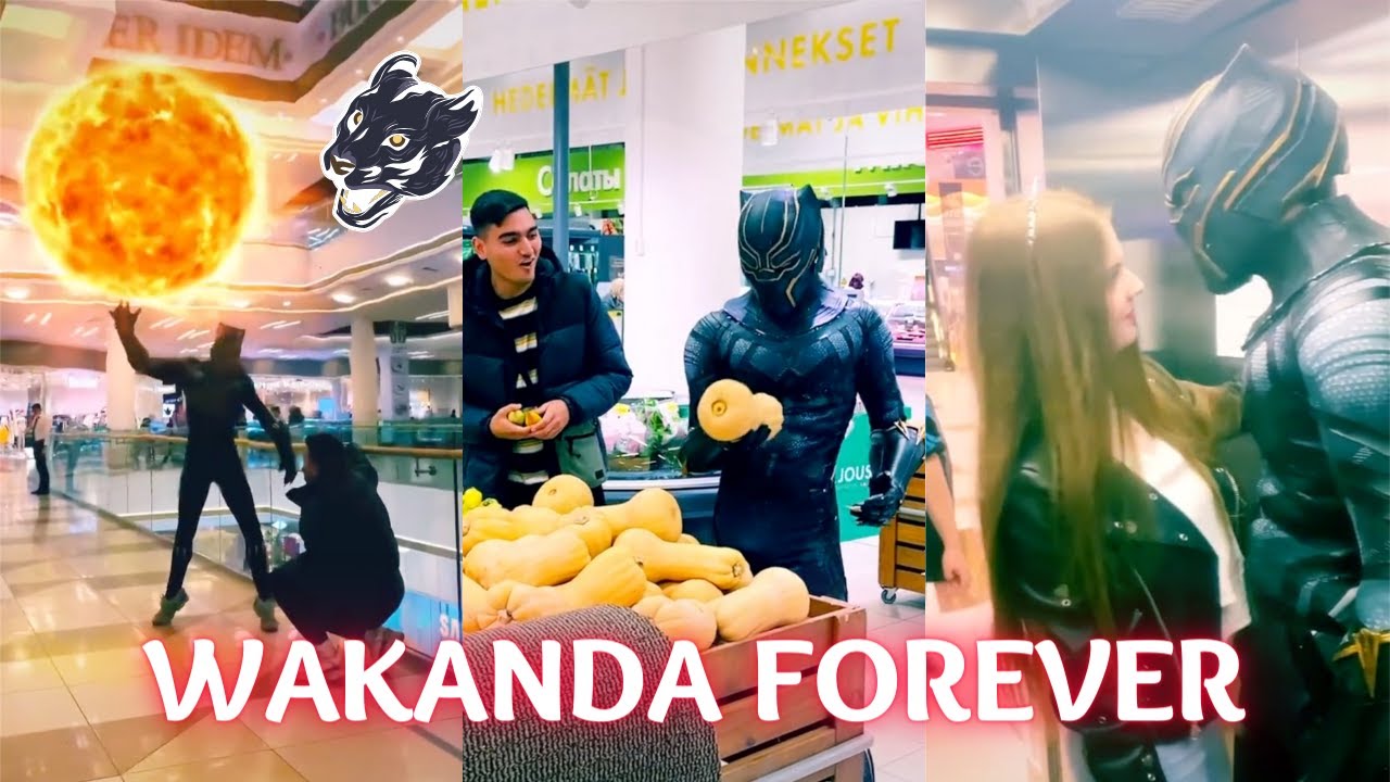 The Ultimate king of Wakanda is here 😈 #ttblackpanther #meme - YouTube