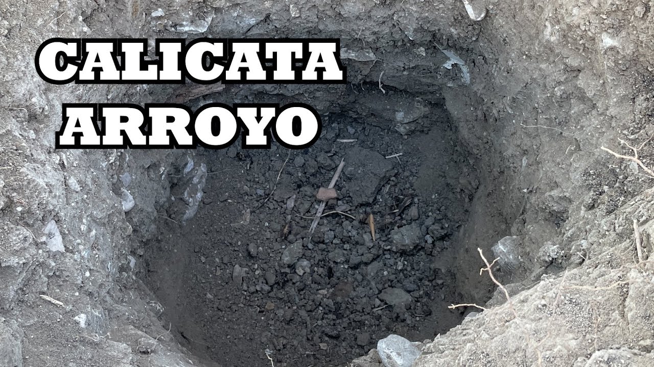 Calicata en olivar ecológico 🫒 zona de acumulación de sedimentos ⚔️🌳 ...