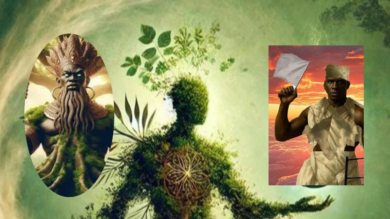 5 CURIOSIDADES SOBRE TEMPO IROKÔ #orixa #tempo #iroko #curiosidades # ...