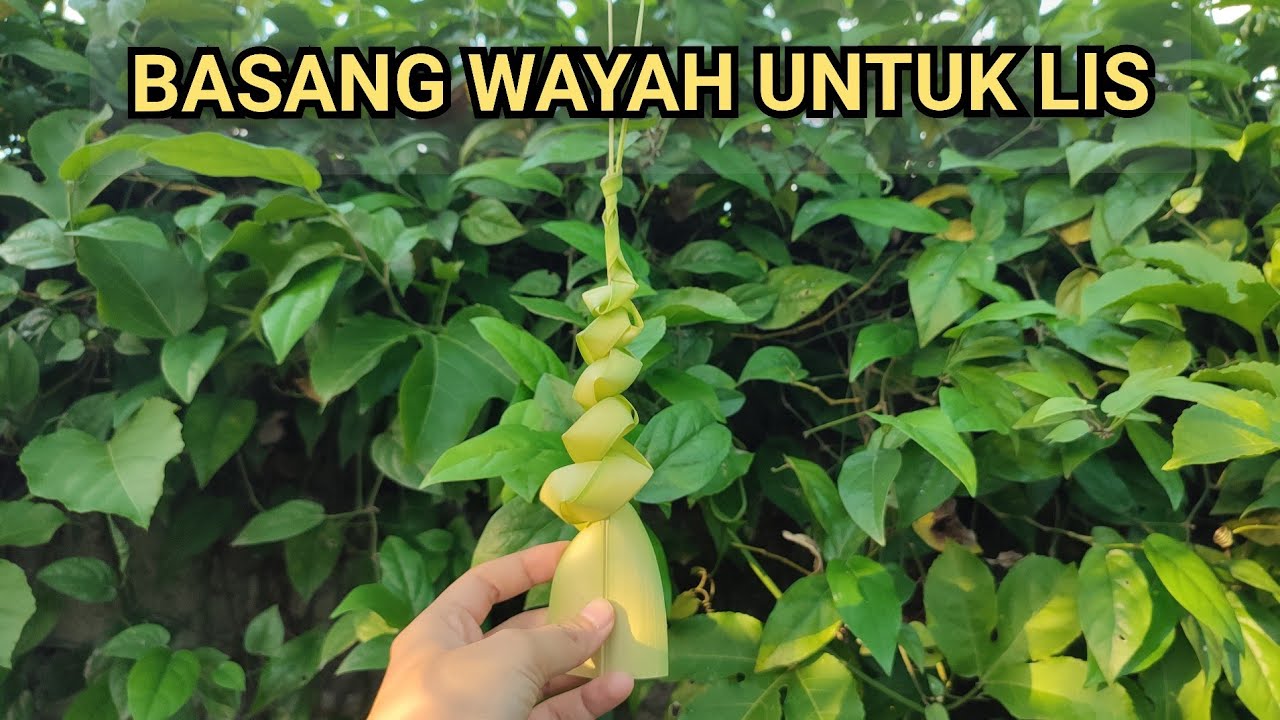 CARA UNTUK MEMBUAT BASANG WAYAH UNTUK LIS - YouTube