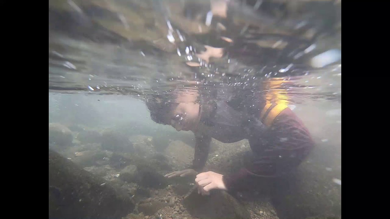 Waje Waterfall, Panvel; Waterfall near Mumbai; Picnic in lockdown - YouTube